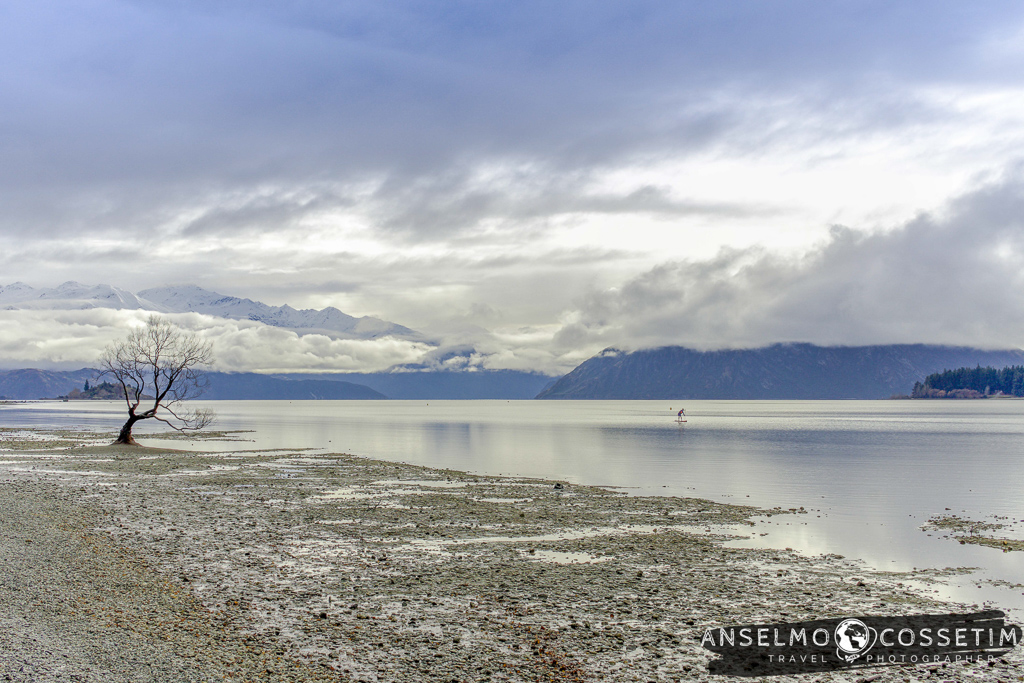 A Árvore Solitária de Lake Wanaka - Perca-se Descubra-se | Viagens ...